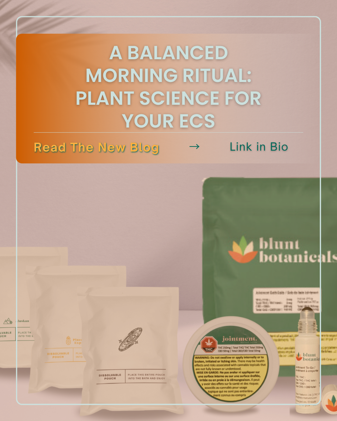 A Balanced Morning Ritual for Your ECS | Blunt Botanicals